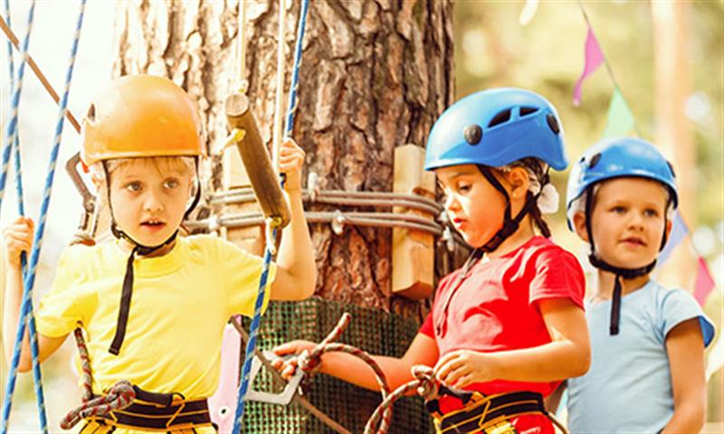 The Edge Aerial Adventure - Low Ropes
